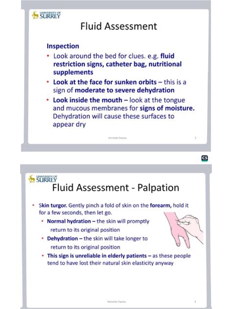 Volume Assessment Pdf