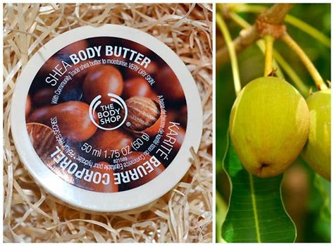 Крем-масло ши для тела The Body Shop Shea Body Butter | Отзывы ...