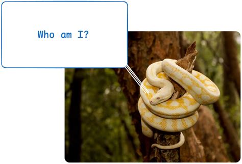 Getting Started With Python Authentication For Iam