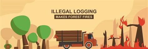 Illegal Logging Poster