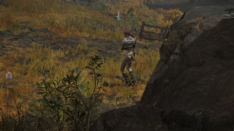 Rule 34 3d Ass Bottomless Breasts Elden Ring Female Female Only Fromsoftware Millicent Elden