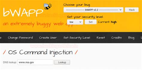 Comprehensive Guide on OS Command Injection - Hacking Articles