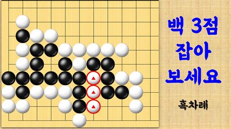 바둑 묘수 사활 백3점을 잡고 흑을 살려보세요 Youtube
