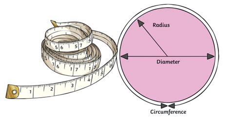 What Is A Diameter Twinkl