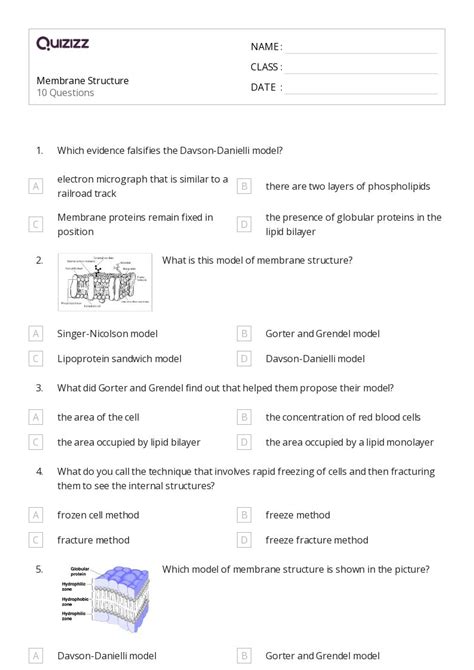 50 Structure Of A Cell Worksheets For 11th Year On Quizizz Free