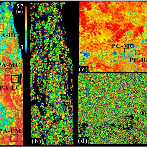 Graphs Showing The Variations Of Tree Spatial Distribution Patterns