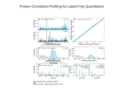 Ppt Protein Correlation Profiling For Label Free Quantitation