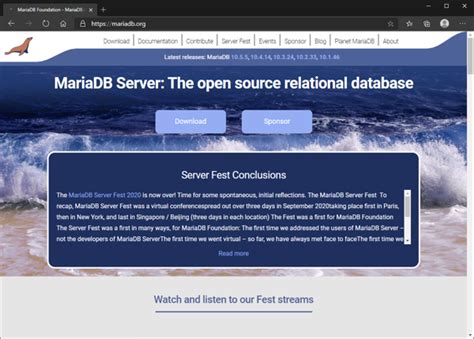 Mariadb Windows版を105 にアップグレードする Ipentec