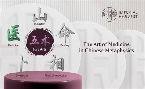 The Art Of Divination In Chinese Metaphysics Imperial Harvest