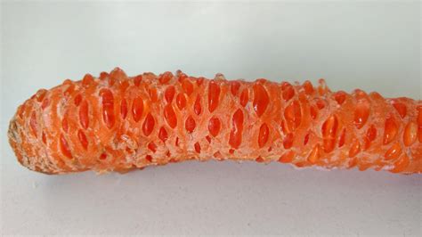 Dildo N S F W R Misleadingthumbnails