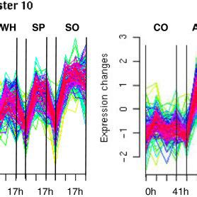 Expression Profiles Of The Clusters From Mfuzz Clustering Containing Download Scientific