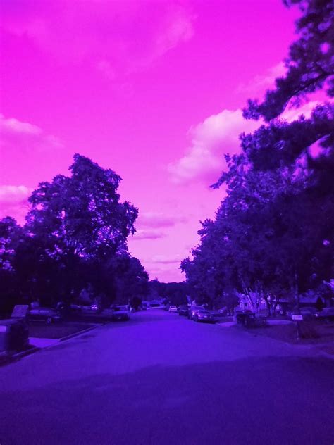 Primitive Uv On A Unmodified Camera Ruvphotography