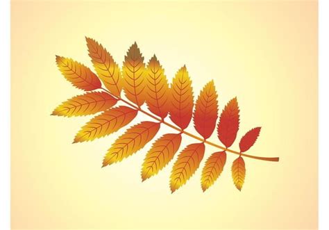 가 분기 벡터 Ai Uidownload