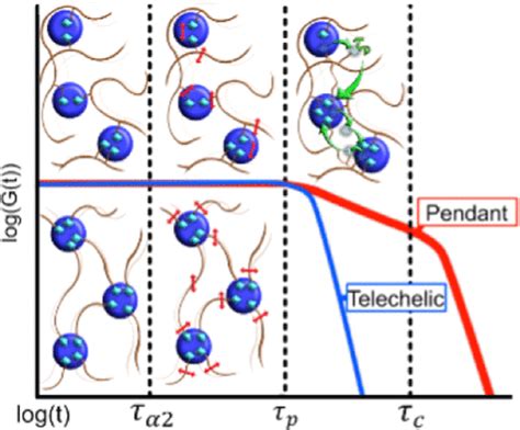 Influence Of Molecular Architecture On The Viscoelastic Properties Of