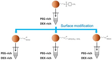 Modulating The Partitioning Of Microparticles In A Polyethylene Glycol Peg Dextran Dex