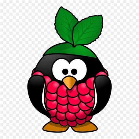 Raspberry Pi Arch Linux Arm Computer Icons Banana Pi Raspberry Pi Clipart PinClipart