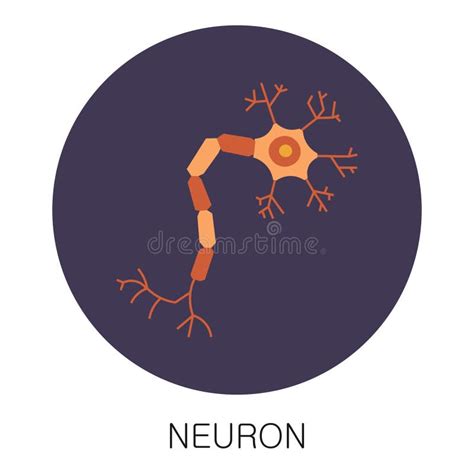 Neuron Icon In Flat Style Isolated On White Background Human Anatomy Medical Organ Vector Stock