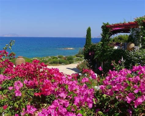 Garden By The Sea Wallpapers Wallpaper Cave