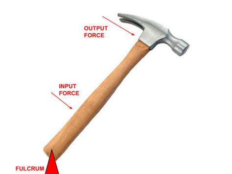 Third Class Lever Rube Goldberg