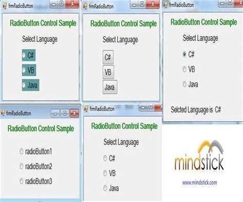 RadioButton Control In C Net MindStick