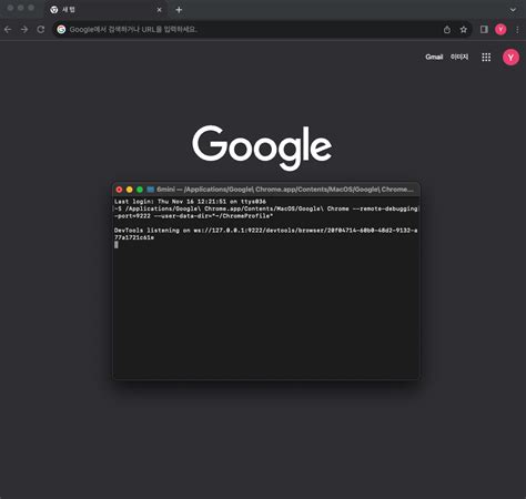 셀레니움 Selenium 웹 크롤링 봇 탐지 우회 방법 4단계 옵션 쿠키 Vpn 크롬 디버깅 모드 Yoonmin Lee