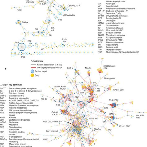 PDF Predicting New Molecular Targets For Known Drugs