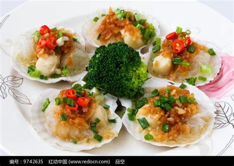 蒜蓉粉丝蒸扇贝高清图片下载红动中国