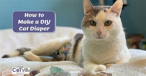 How To Make A Diy Cat Diaper In 6 Easy Steps Guide