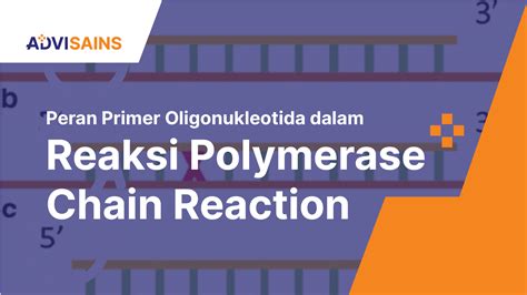 Peran Primer Oligonukleotida Dalam Reaksi Polymerase Chain Reaction