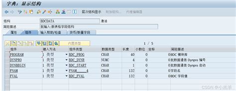 Sap Abap开发 Bdcsap Bdc Csdn博客