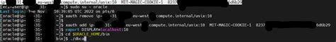 instalar oracle database 21c en una máquina aws arttec