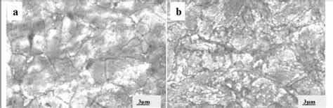 Sem Micrograph Of Eurofer Surface Structures After Exposure 1000 H In