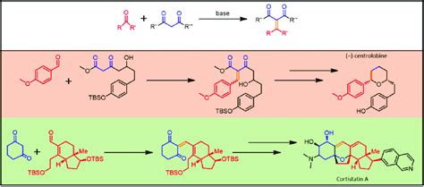 Knoevenagel Reaction General Scheme Middle And Bottom Examples Of Download Scientific Diagram