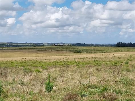 Pueblo Garzon 60 Hectares Farmland
