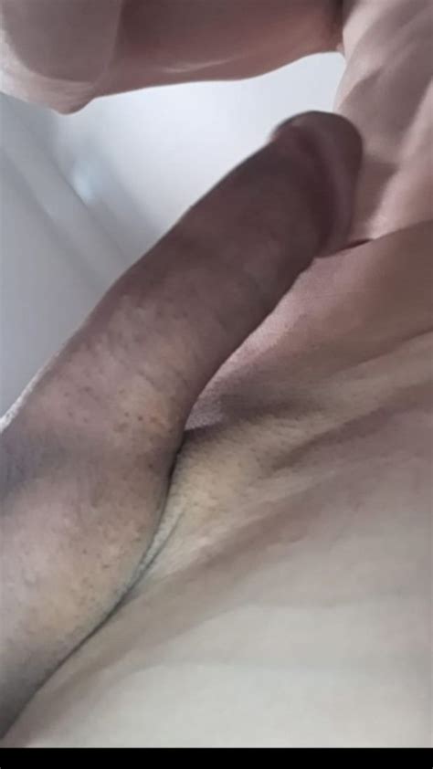 Hot Cock From Morocco Pic