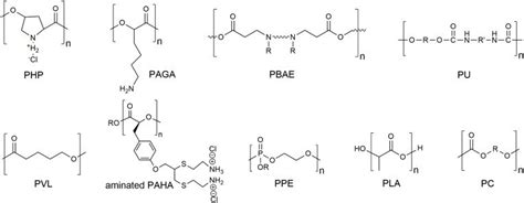 Chemical Structures Of Synthetic Biodegradable Polymers For Gene Delivery Download Scientific