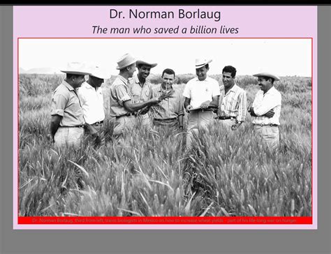 Html Boostrap Border Padding Too Wide Stack Overflow