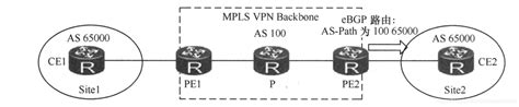 mpls virtual private network pe ce之间的路由协议（bgp） ce2就不会因为重复as号丢弃 csdn博客