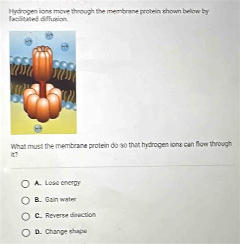 Solved Hydrogen Ions Move Through The Membrane Protein Shown Below By