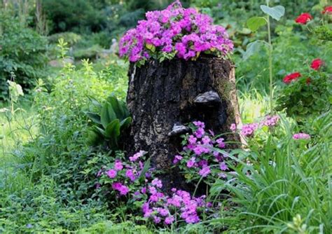 How To Make A Tree Stump Planter In 4 Steps Balcony Garden Web