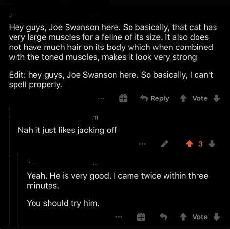 Cursed Cat R Cursedcomments