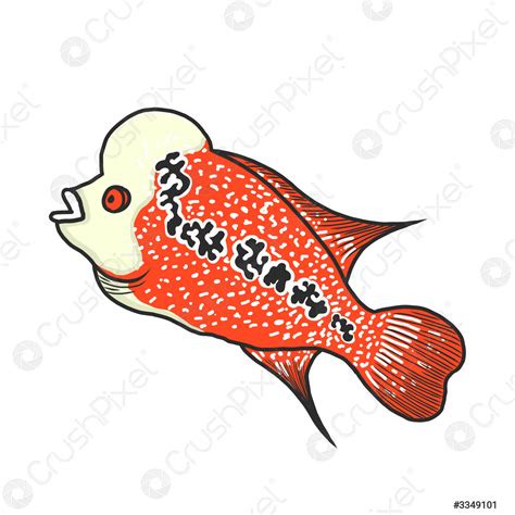 Flower Horn Fish Vector Illustration Hand Drawn Style Stock Vector