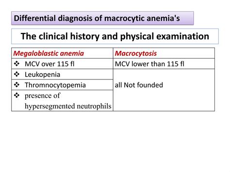 Macrocytic Anemia Pdf
