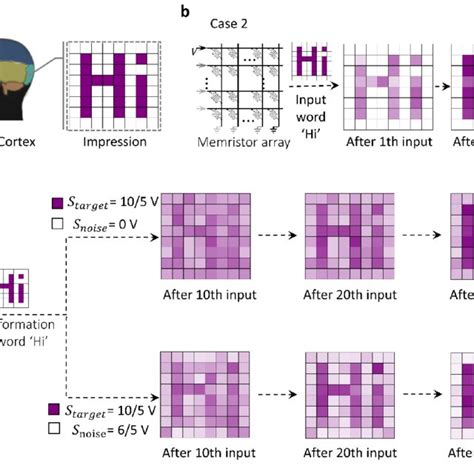 Proof Of Principle Design Of Svdp Based Filtering With Unipolar Download Scientific Diagram