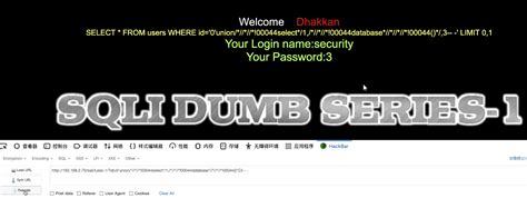 安全狗的安装,waf绕过,sql注入oracle数据库,burp的安装与使用 Hexo 安全狗的安装,waf绕过,sql注入oracle数据库,burp的安装与使用 Hexo