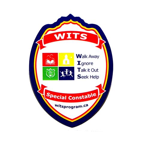 Wits Badge Pack Of 30 Wits Programs Foundation Store