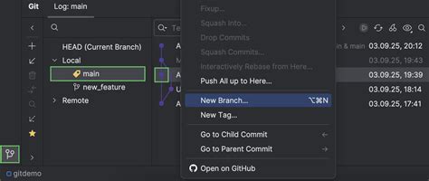 Manage Git Branches Intellij Idea Documentation