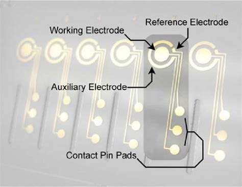 Electrochemical Sensor Array Download Scientific Diagram