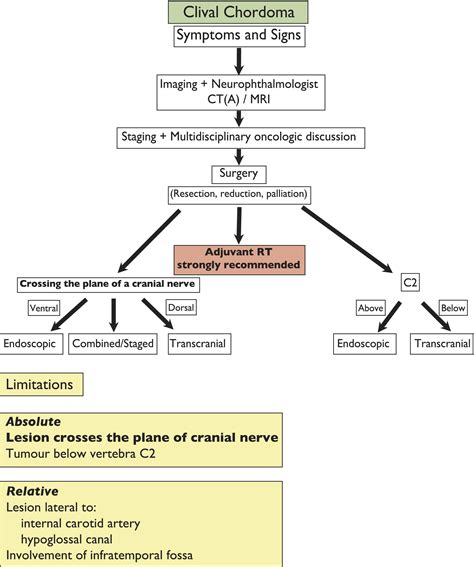 Endonasal Endoscopic Approach To Clival And Posterior Fossa Chordomas