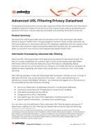 Advanced Filtering Privacy Palo Alto Networks